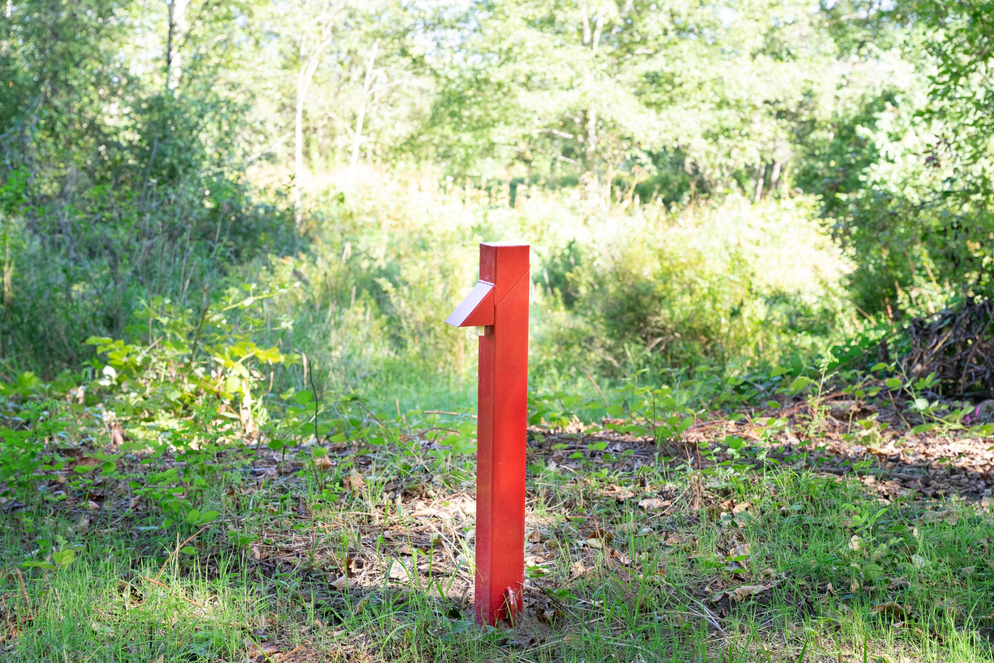 Protecting Sacred Spaces – Kwikwetlem Historical Cemetery - First ...
