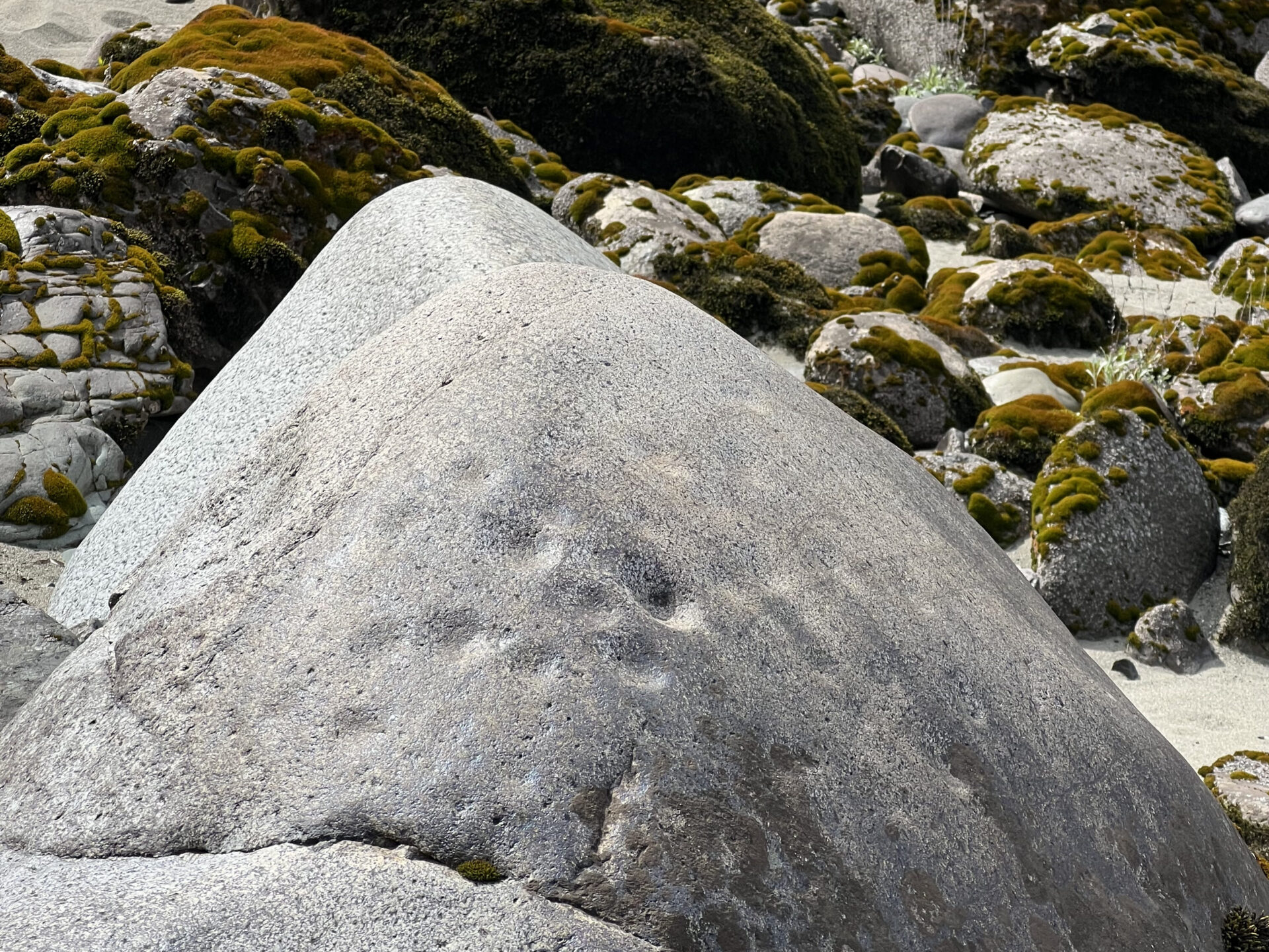 Protecting the Rock Art of Kanaka Bar - First Peoples Cultural Council